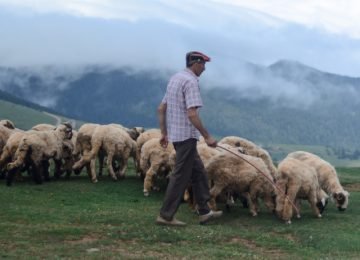 Pastor - Saiba tudo da profissão aqui: Guia das Profissões